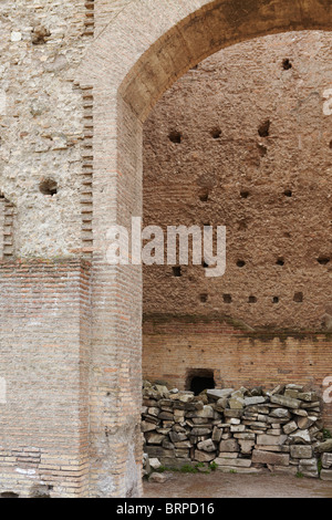 Ruins of the Domus Flavia (Flavian Palace), Palatine Hill, Rome Stock ...