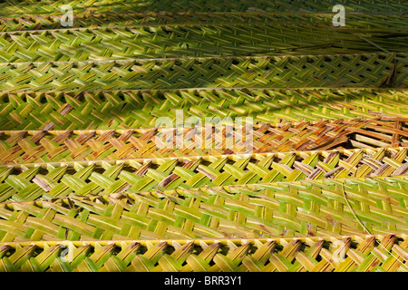 Close-up of plaited palm leaves used as roofing material Stock Photo ...