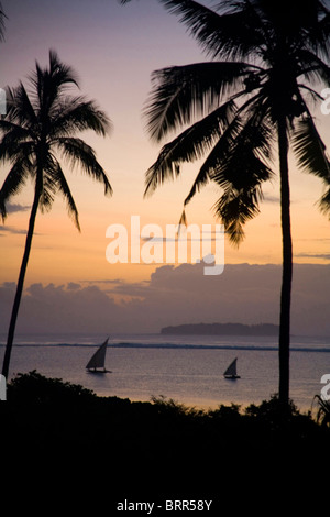 Tropical ocean view with palm trees coast of Saona Island, Dominican ...