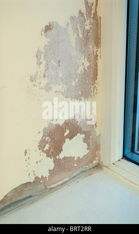 dampness moisture on wall Stock Photo - Alamy
