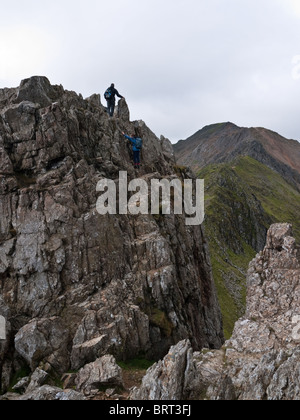 Walkers on the ridge of Crib Goch roped together with Snowdon in the ...