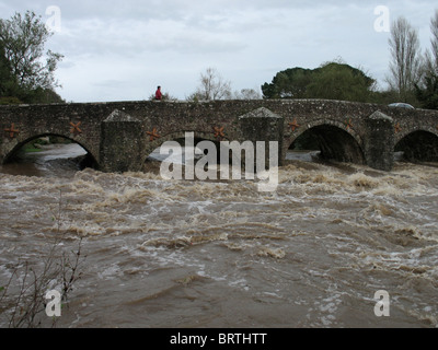 Bickleigh bridge river exe Devon uk floods flooding severe fast flowing ...