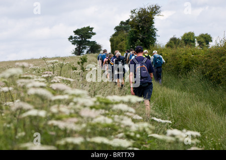 Members of the Ramblers Association on a walk near Whitchurch ...