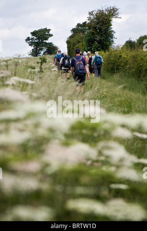 Members of the Ramblers Association on a walk near Whitchurch ...