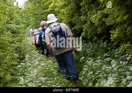 Members of the Ramblers Association on a walk near Whitchurch ...