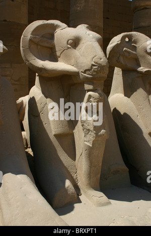 Criosphinxes in First Court, Karnak Temple of Amun, Thebes, Luxor ...