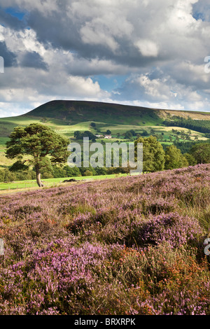 Bilsdale and Easterside Hill North York Moors National Park Yorkshire ...