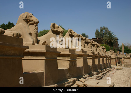 Avenue of Criosphinxes ( ram headed , lion body ) of Ramses ll at ...