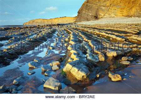 Sedimentary rocks blue lias shale limestone sequences Lyme Regis Stock ...