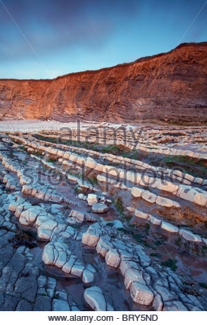 Sedimentary rocks blue lias shale limestone sequences Lyme Regis Stock ...