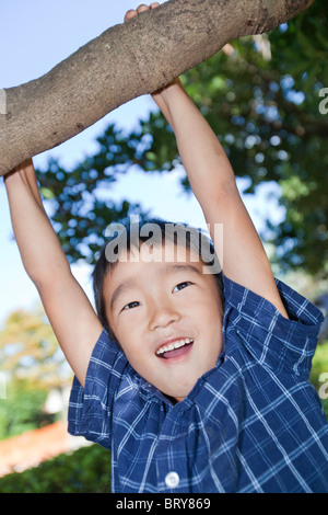boy hanging from tree Stock Photo - Alamy