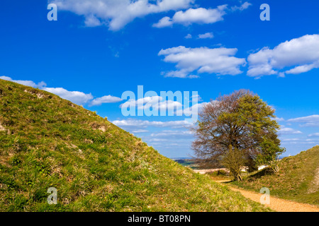 Danebury Hill Fort an Iron Age Hill Fort near Andover in Hampshire ...