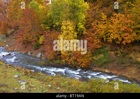 Autumn brook with mini waterfalls flowing in the national park Stock ...