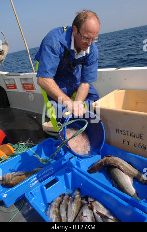Fishing for Pollock out of Looe in Cornwall - This fisherman meets ...