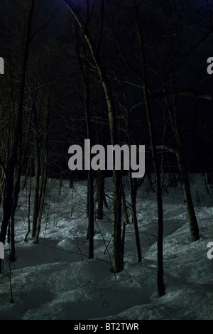 night scene on Vermont mountain, winter, cold Stock Photo - Alamy