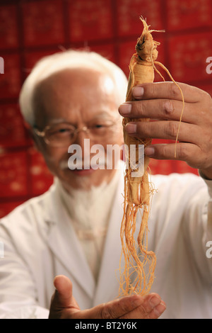 Male doctor holding ginseng Stock Photo - Alamy