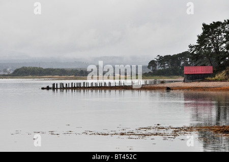 CULBIN FOREST FORRES MORAY SCOTLAND A FROZEN POND AND THE LAGOON OR GUT ...