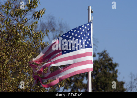 ripped torn Tattered American flag USA windblown old glory star ...
