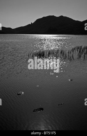Beacon Tarn on Blawith Coomon near Torver, Coniston, Lake District ...