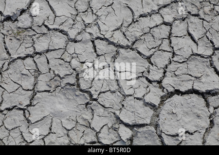 Dried mud puddle with dry cracks and traces of rain drops, Highway 24 ...
