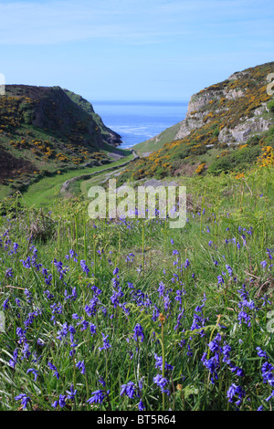 Mewslade and Mewslade Bay in Spring. The Gower, Wales Stock Photo - Alamy