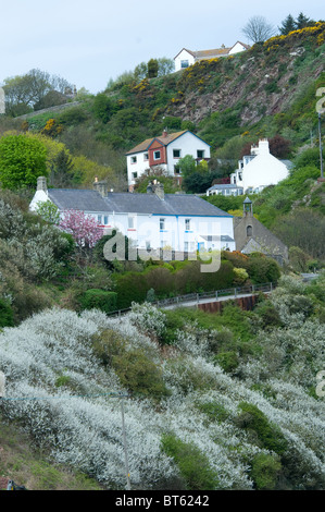 Britains coastline the small scenic fishing port of St Abbs on the ...