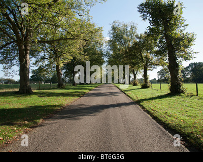 country lane estate warwickshire midlands england uk Stock Photo - Alamy