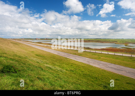 Natuurgebied de Putten in Camperduin Noord Holland achter de ...