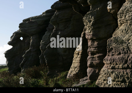 Caiplie caves near Crail Fife Scotland Stock Photo - Alamy