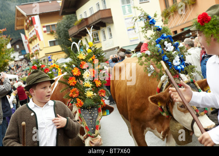 Almabtrieb cow festival, Austria Stock Photo - Alamy