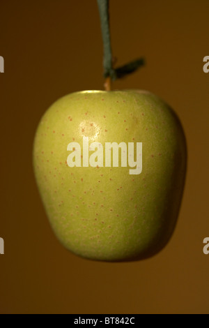 traditionally game of snap apple is performed in Ireland on Halloween ...