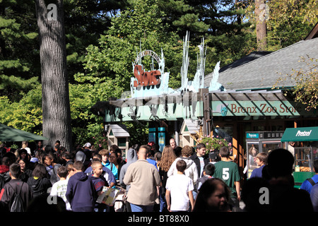 Gift shop at the Bronx Zoo, New York City Stock Photo - Alamy