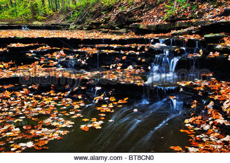 Autumn in the North Chagrin Reservation of Cleveland Metroparks in ...