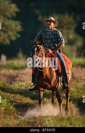 Pantaneiro Cowboy riding, The Pantanal, Mato Grosso, Brazil Stock Photo ...