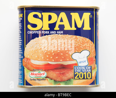 tin of spam tinned pork and ham processed meat on white Stock Photo - Alamy