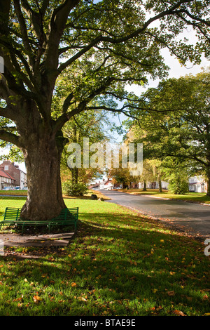 Hutton Rudby, North Yorkshire Stock Photo - Alamy