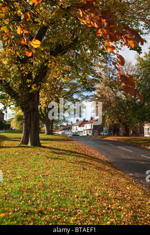 Hutton Rudby, North Yorkshire Stock Photo - Alamy