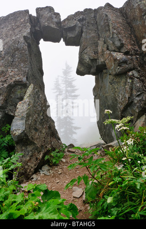 Star trail at the rock arch Stock Photo - Alamy