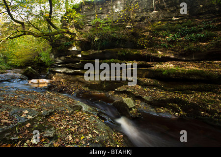 How Stean Gorge, near Pateley Bridge, Nidderdale, Yorkshire Dales Stock ...