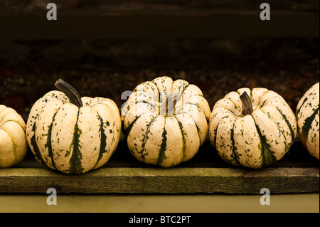 Sweet dumpling squashes in green crate at autumn market Stock Photo - Alamy