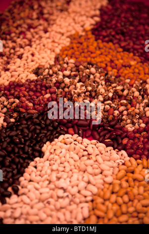 Choclo, or Peruvian large kernel corn, as seen at Lima's annual ...