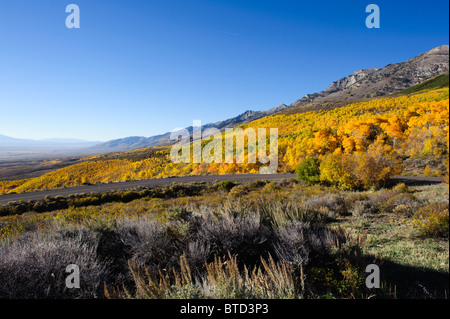 Alpine mountains near Wells, Nevada in the fall with brilliant gold ...