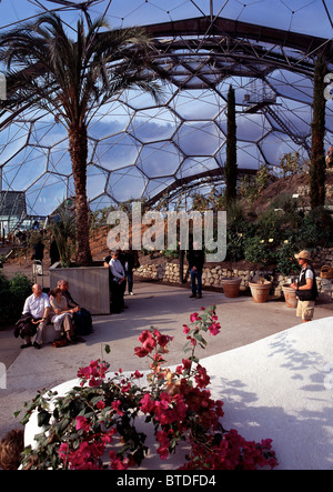 Eden Project, Interior Stock Photo - Alamy