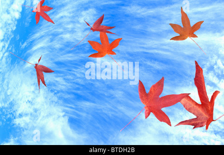 Autumn leaves blowing in the wind Stock Photo - Alamy