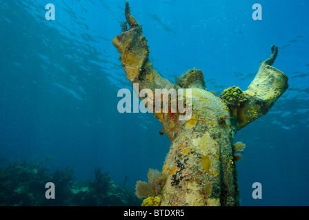 Christ of the Abyss statue off Key Largo coast, Florida, USA Stock ...