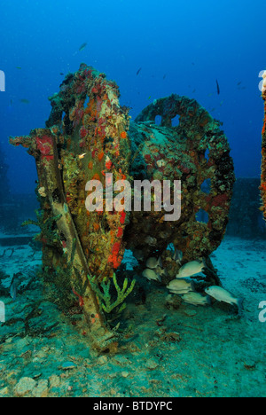 Winch on the wreck of the USS Spiegel Grove, dive site John Pennekamp ...