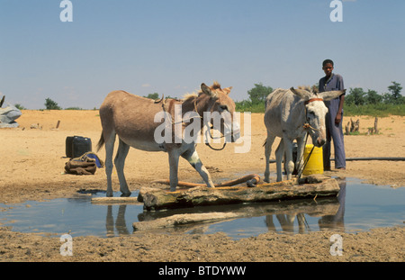 Boy fetching water at borehole in rural Botswana Stock Photo - Alamy