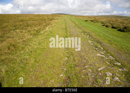 Redlake Tramway, Dartmoor Stock Photo - Alamy