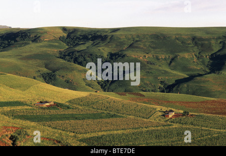 rural dwellings homes landscape kwazulu-natal Stock Photo - Alamy