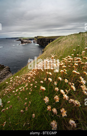 Loop Head Drive, Clare county, Ireland-Eire Stock Photo - Alamy